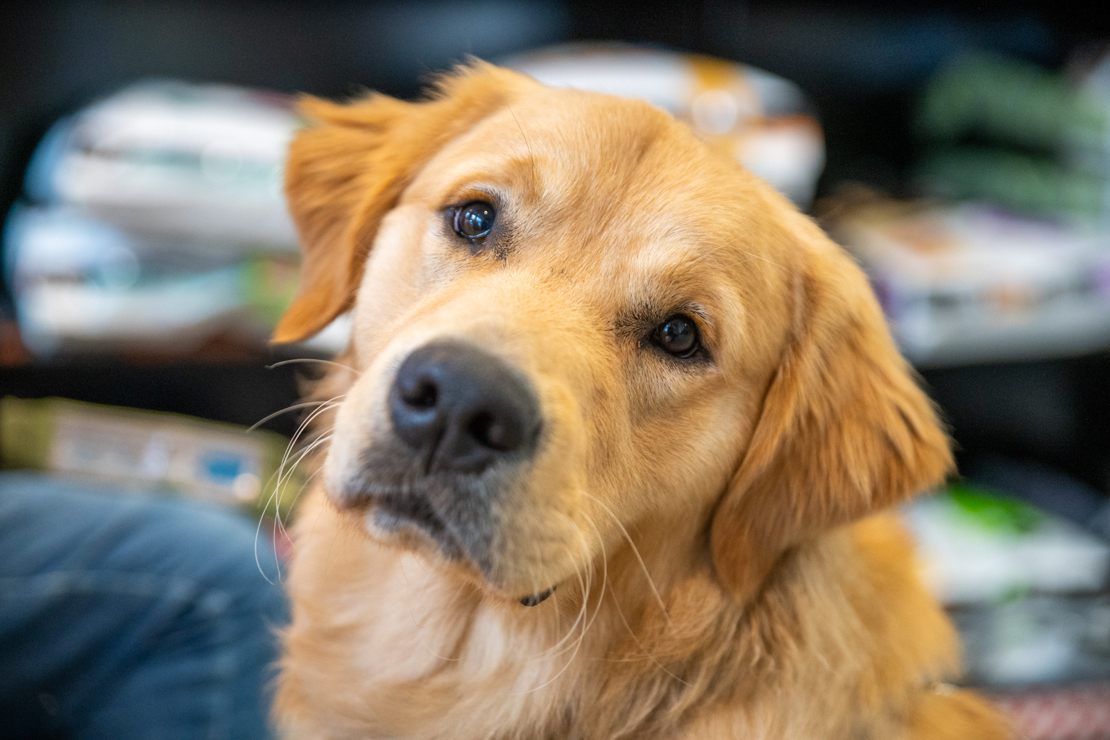 Contact Us | Braid Vets