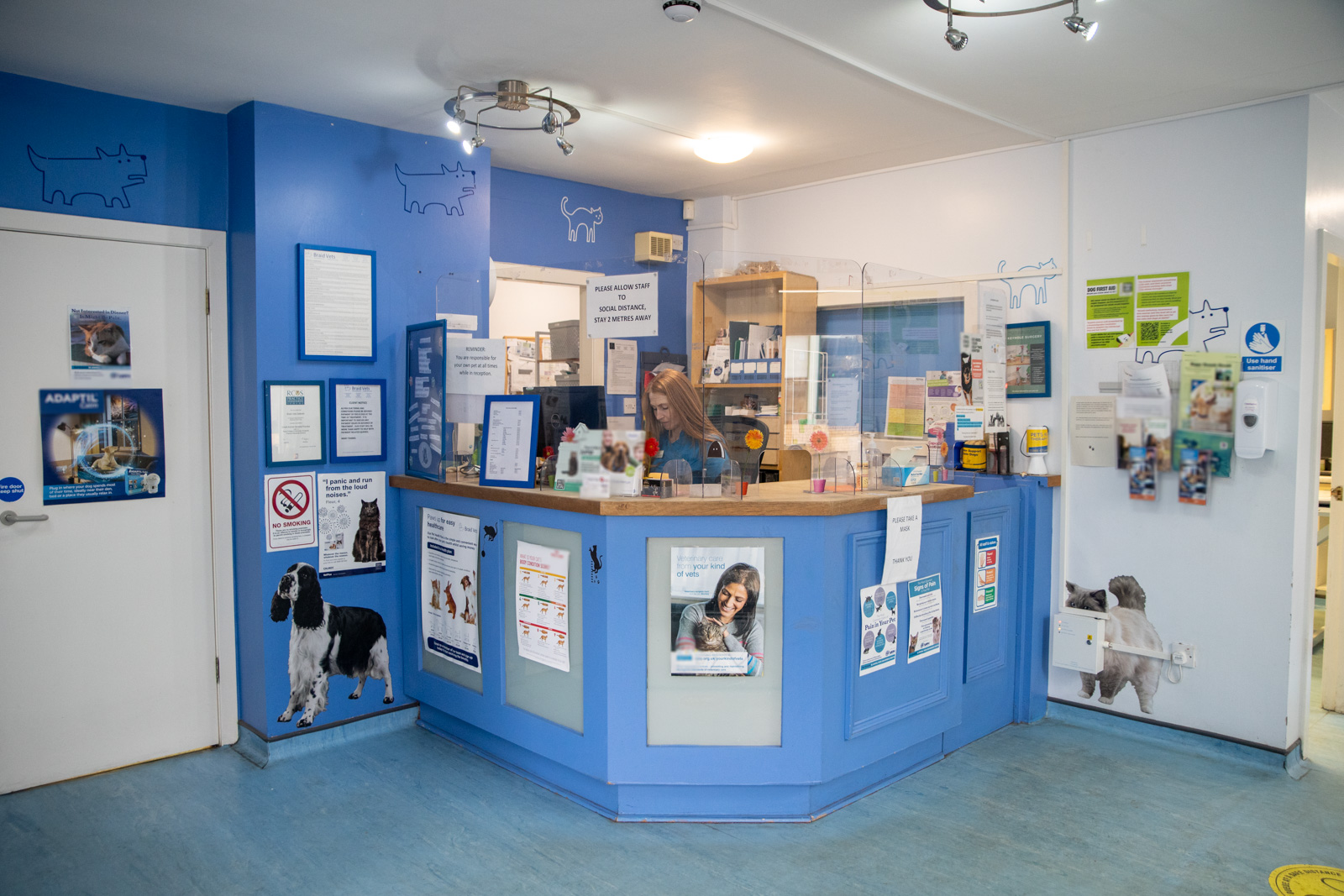 Contact Us | Braid Vets